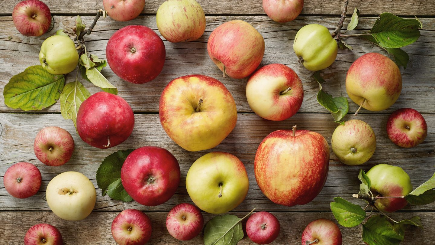 Rund, gesund, lecker: Wissenswertes zum Apfel | Kotányi